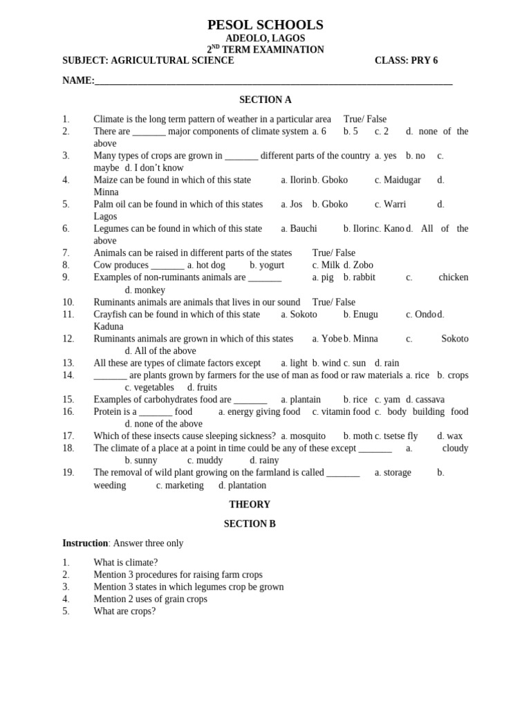 PESOL SCHOOLS (Autosaved) A (Autosaved) 1 | PDF | Foods | Citizenship