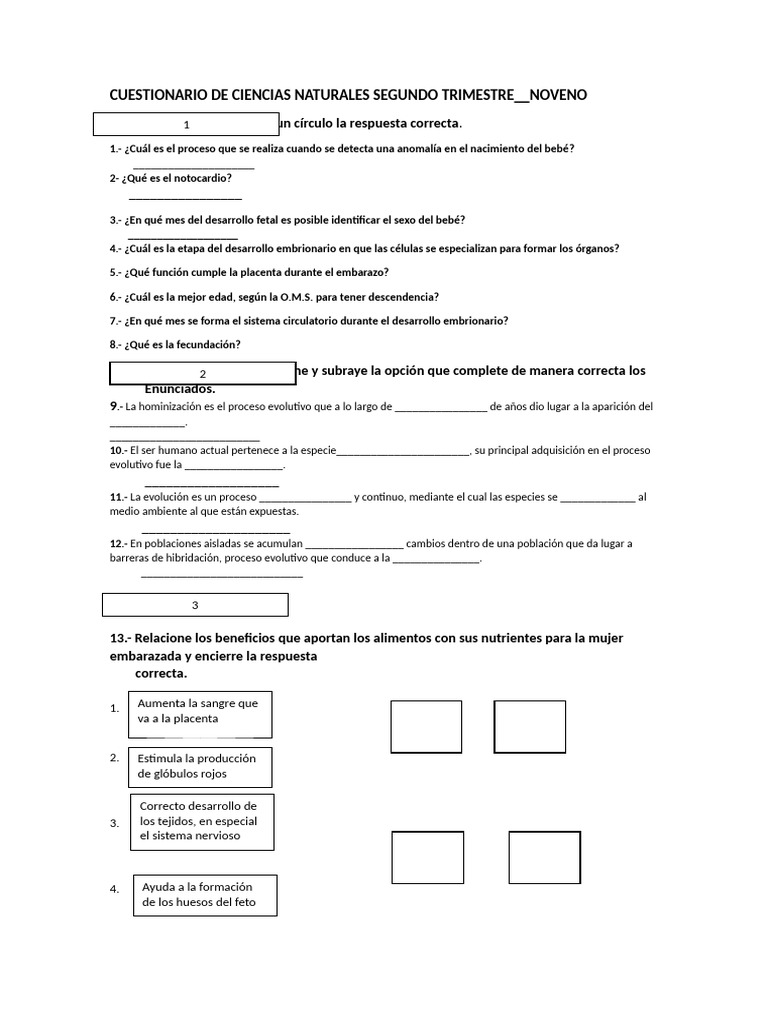 Cuestionario CCNN - 2do Trimestre - Noveno | PDF | Feto | Placenta
