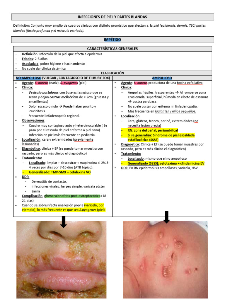 IPPB | PDF | Staphylococcus Aureus | Microbiología