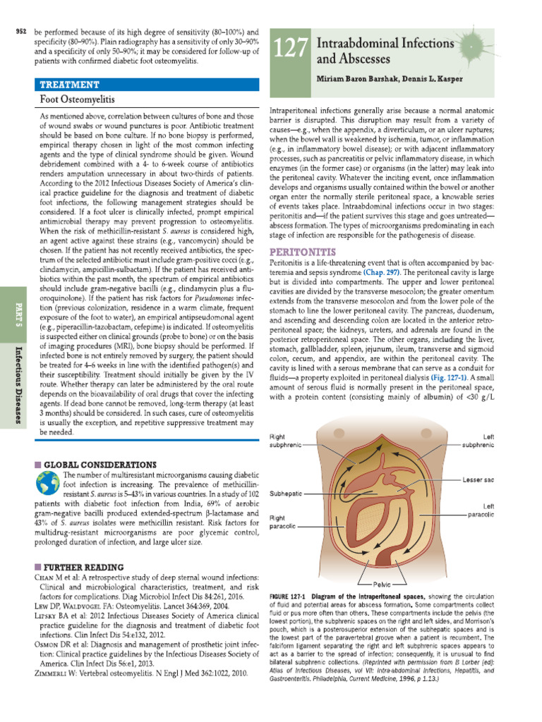 Harrison - Intraabdominal Infections and Abscesses | PDF