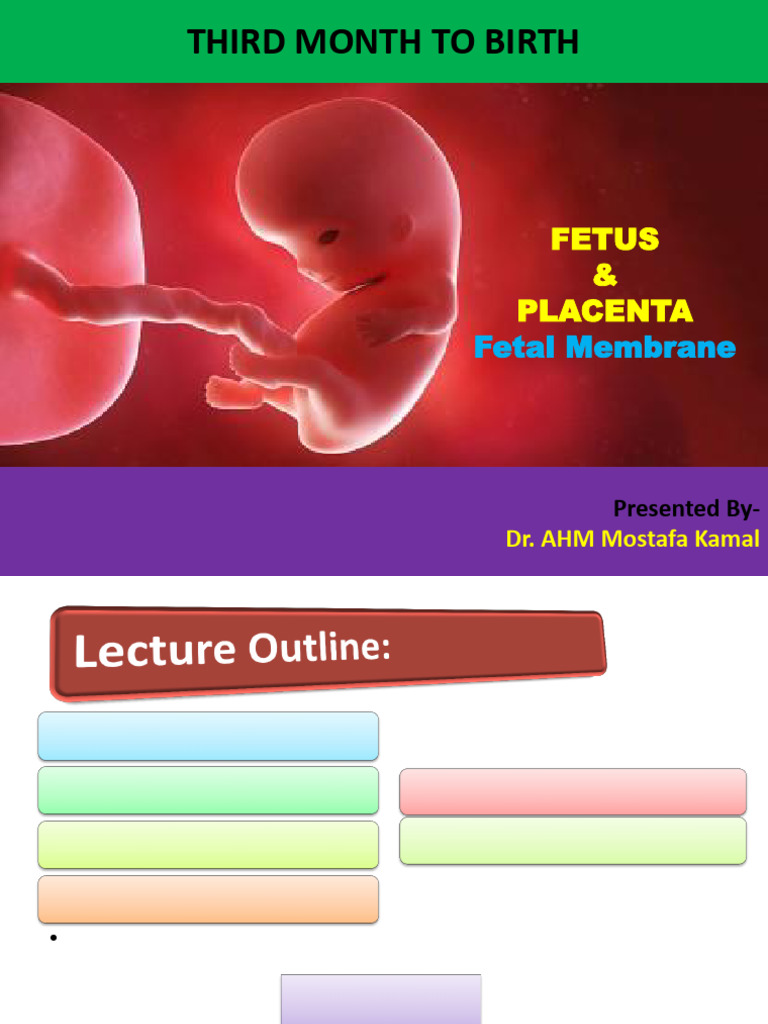 FETAL MEMBRANE 3rd Month To Birth ZOOM Class - 3 | PDF | Placenta | Fetus
