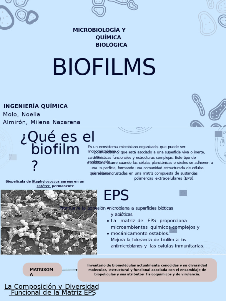 Unidad 5 Biofilms | PDF | Biopelícula | Biología
