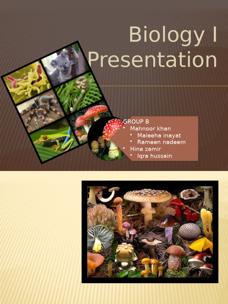 Overview of Fungi Characteristics and Importance | PDF | Fungus ...