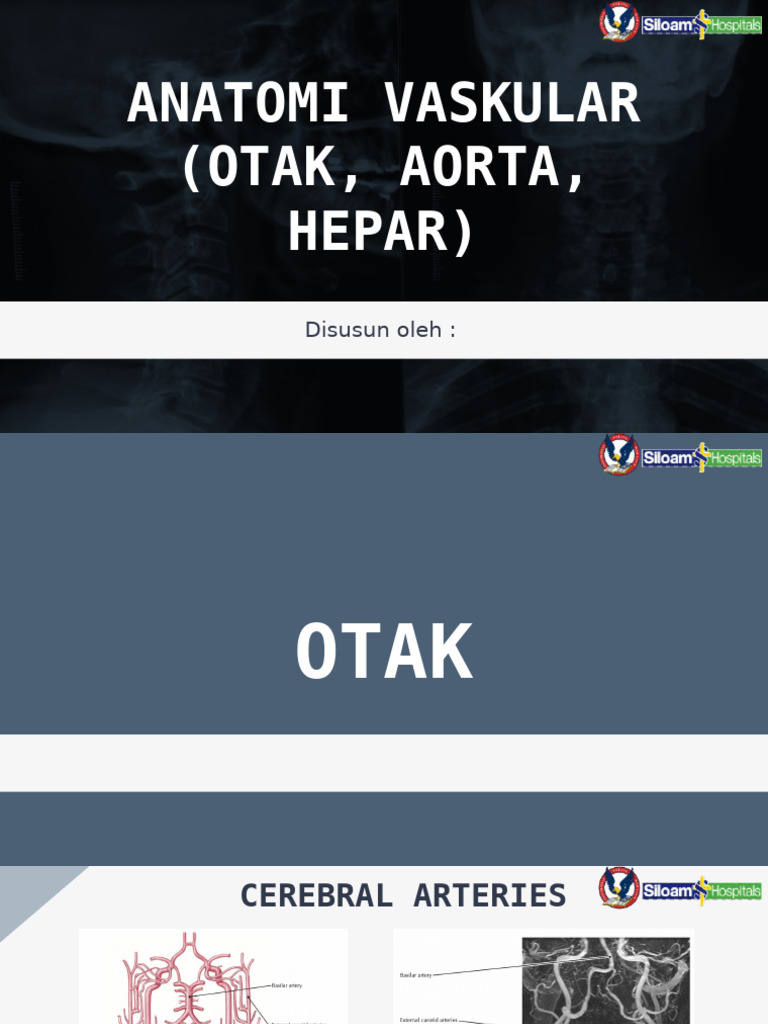 Anatomi Vaskular (Otak, Aorta, Liver) | PDF | Aorta | Liver