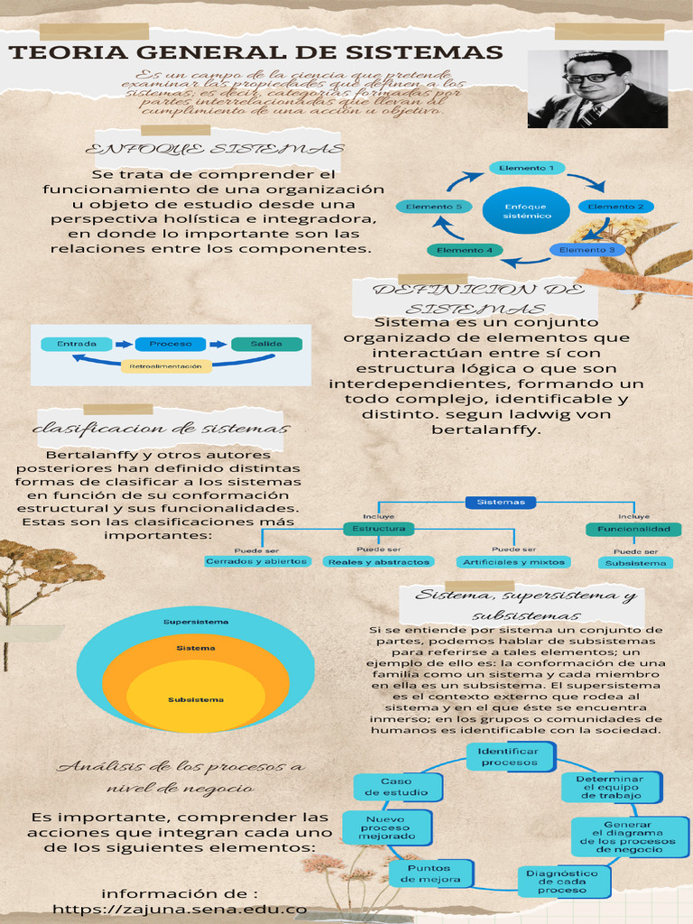 Infografia Teoria de Sistemas | PDF | Sistema | Teoría de sistemas
