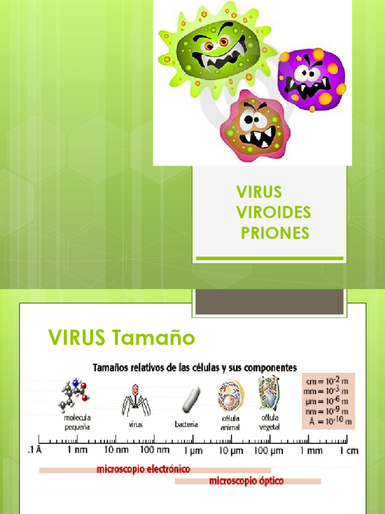 5 - 54 - Virus, Viroides y Priones | PDF | Virus | Microorganismo