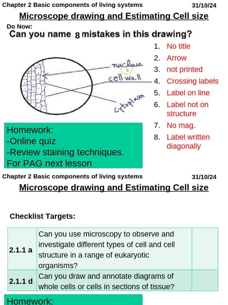 Microscope Skills for Students | PDF | Microscope | Laboratory Equipment