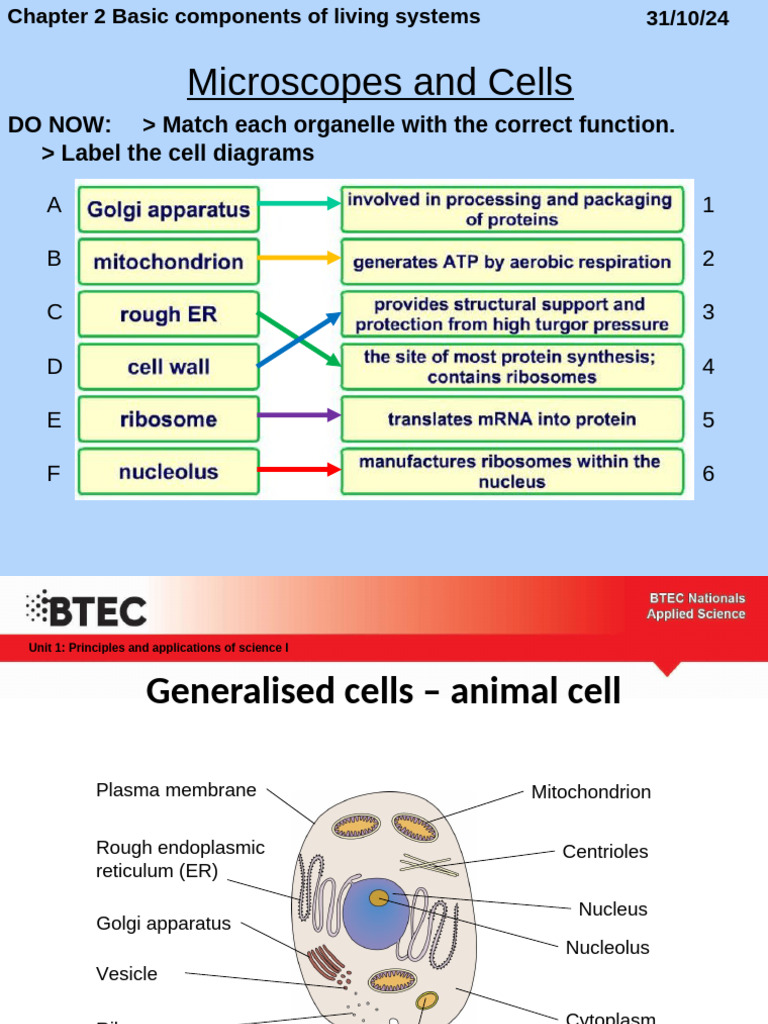 L1 Chapter 2 Basic Components - Microscopes | PDF | Electron Microscope ...