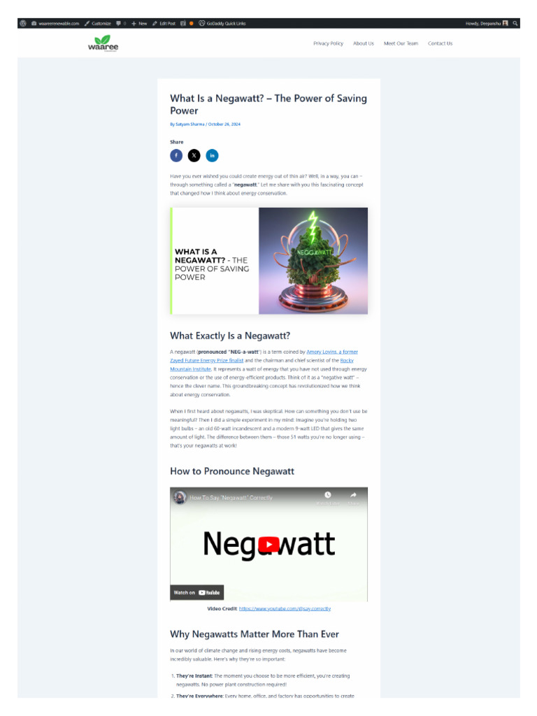 What Is A Negawatt? - The Power of Saving Power | PDF