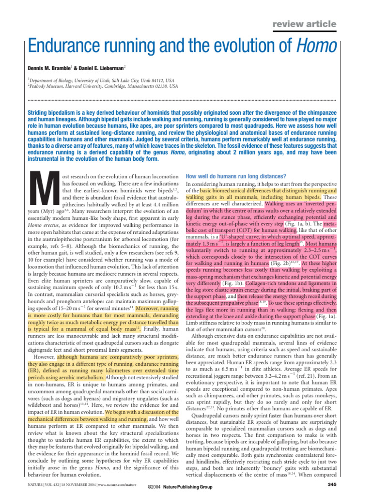 2004 D. Bramble - Endurance Running and The Evolution of Homo (Nature) | PDF
