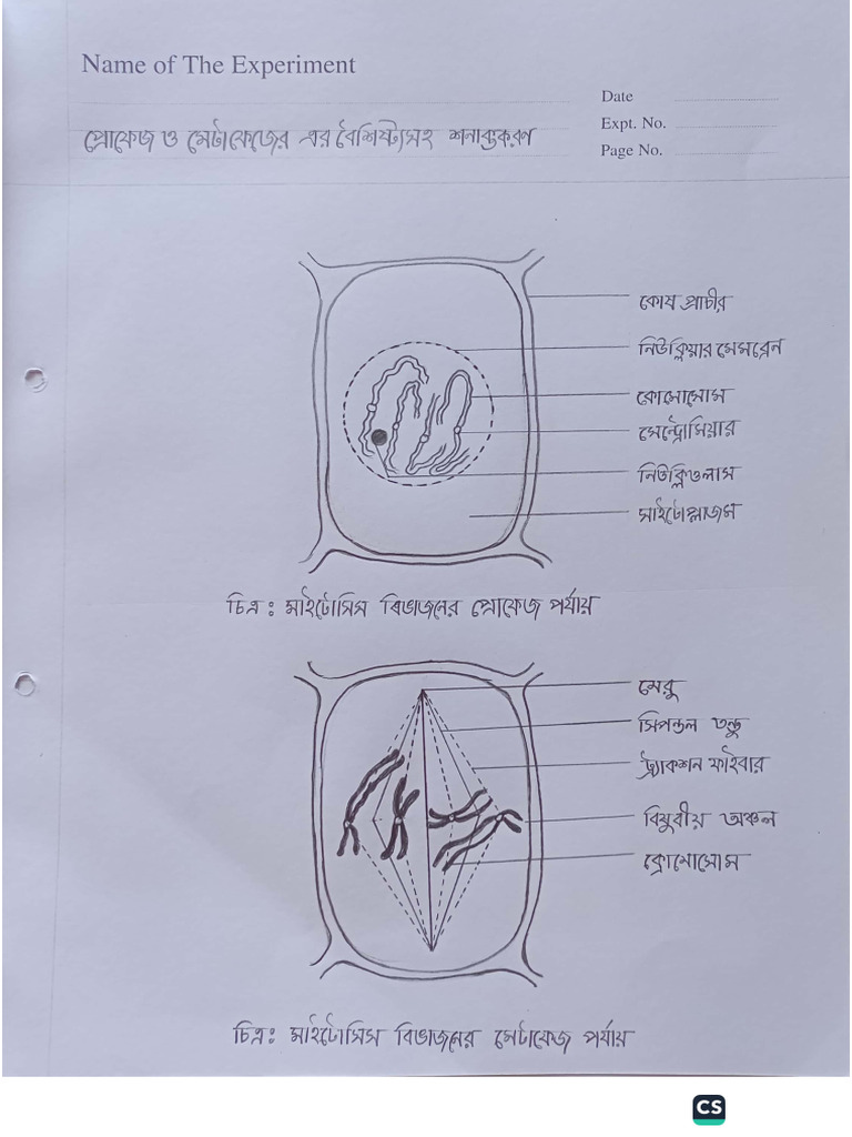 CamScanner Download Guide | PDF