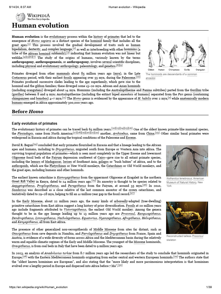 Human Evolution - Wikipedia | PDF | Human Evolution | Homo