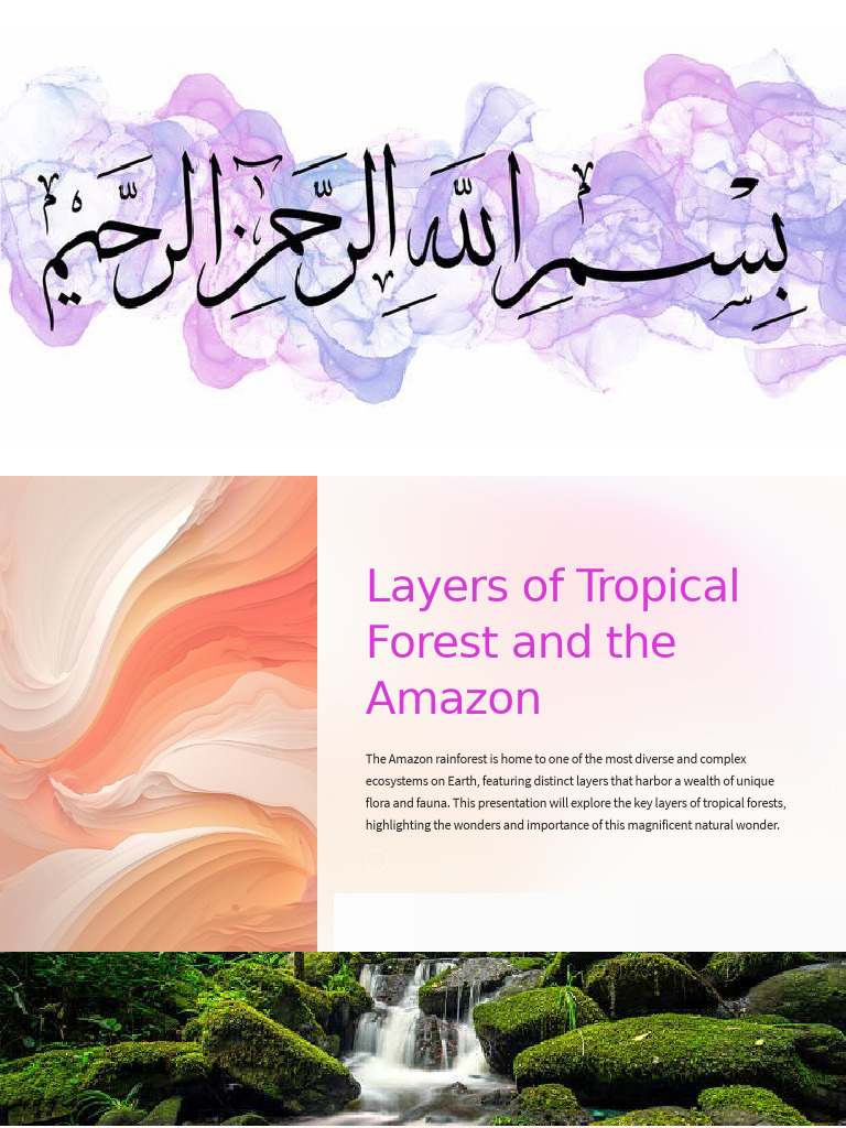 Layers of Tropical Forest and The Amazon | PDF | Rainforest | Canopy ...