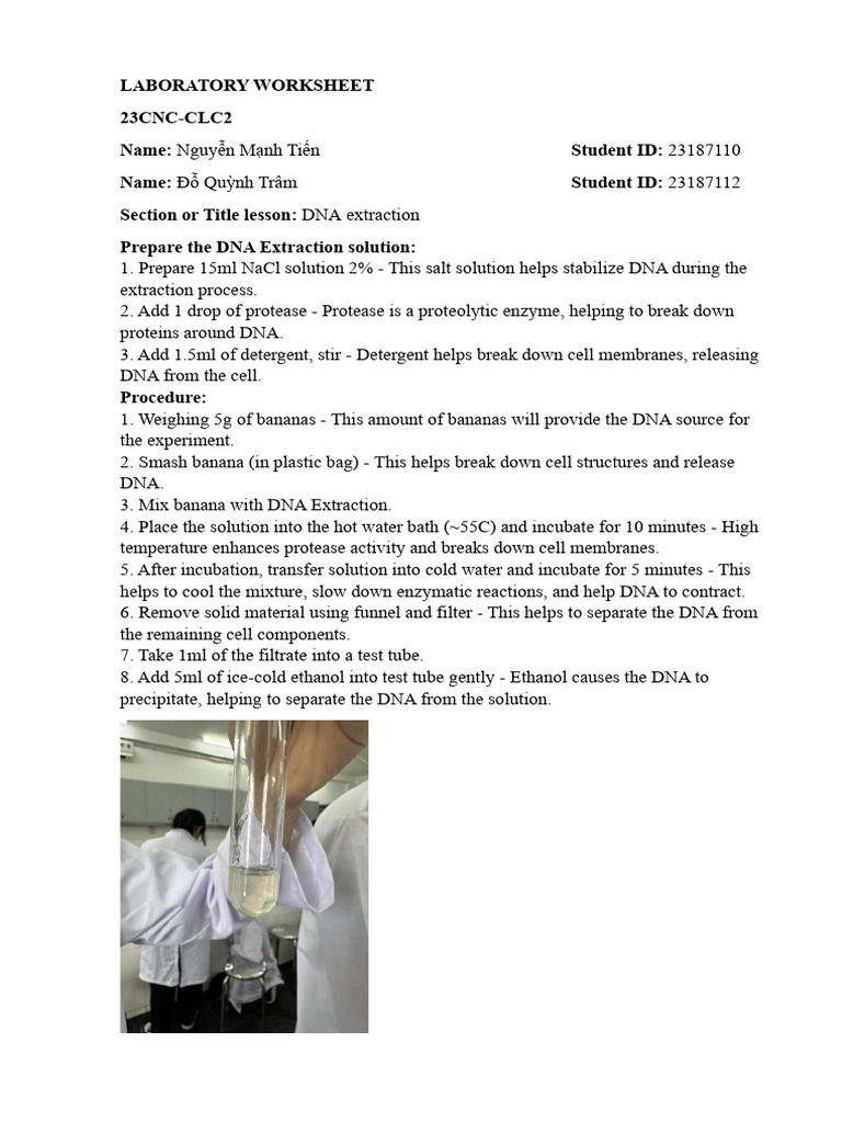 DNA Extraction | PDF