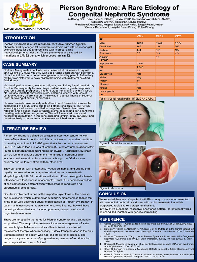 Pierson syndrome | PDF | Kidney | Kidney Disease