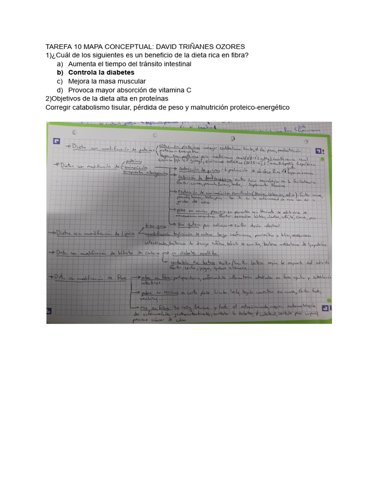 Tarefa 10 Mapa Conceptual - David Triñanes Ozores | PDF