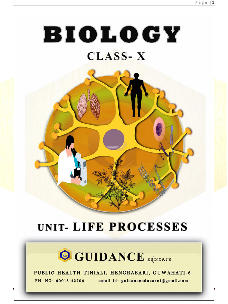 Life Processes Notes Class-10 | PDF | Cellular Respiration | Heart