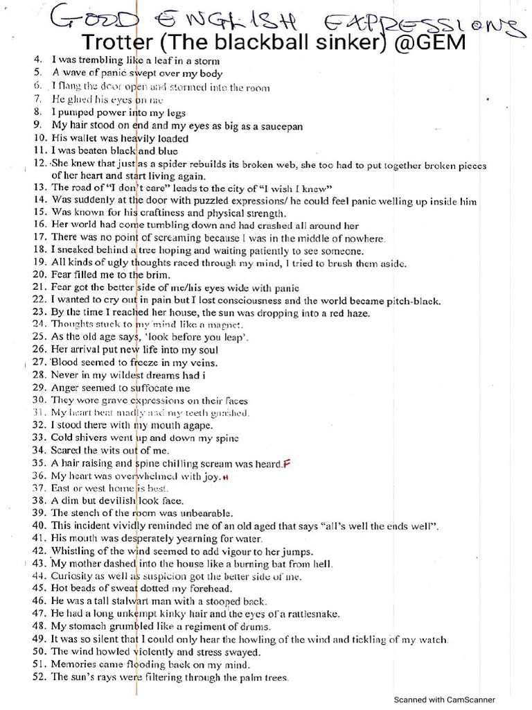 Good English Expressions Trotter | PDF