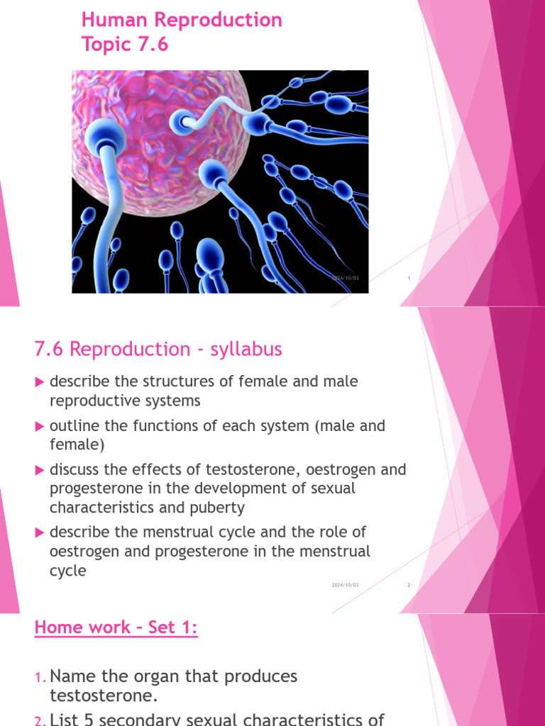 Topic 7.6 - Reproduction | PDF | Menstrual Cycle | Endocrine System