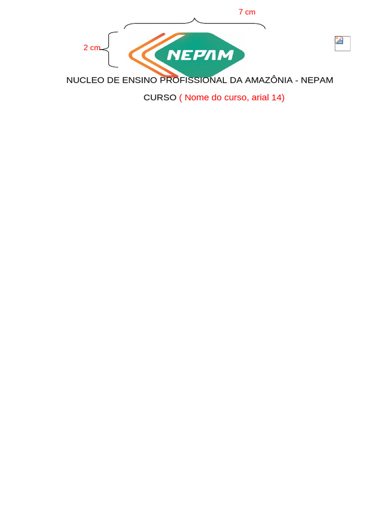 Modelo de PCC Nepa 2024 | PDF