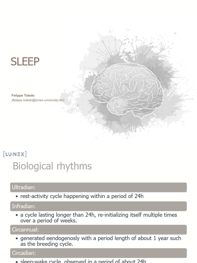 Physiology - Sleep and Memory | PDF | Sleep | Memory