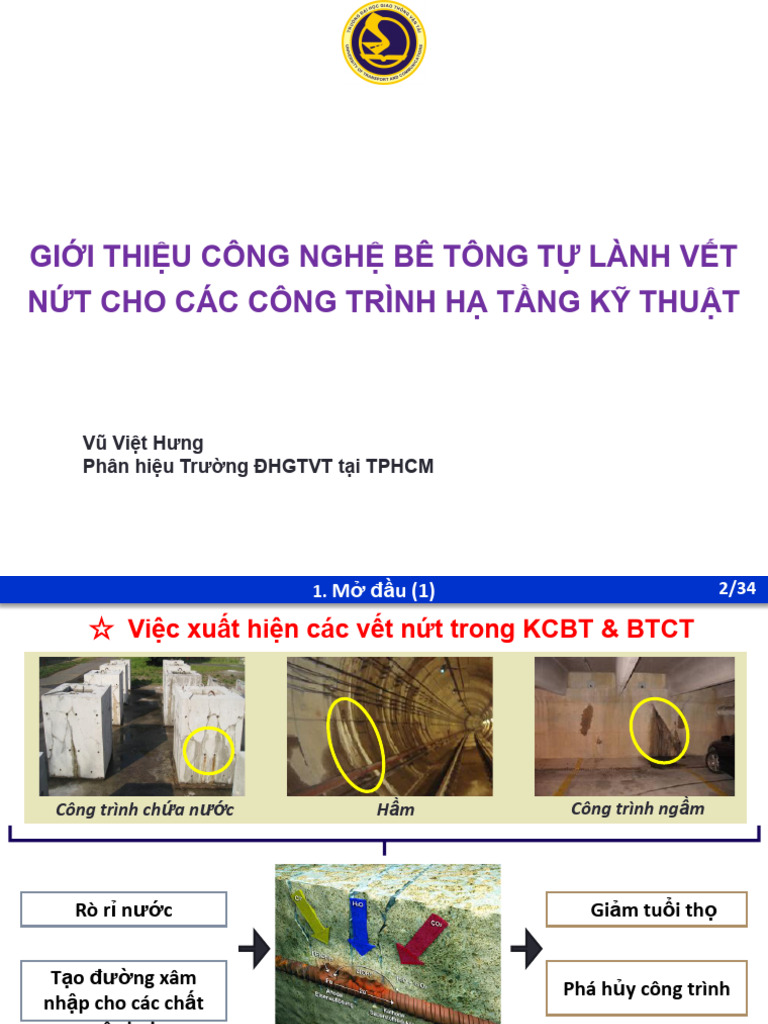 Bao Cao BTTL-Vu Viet Hung | PDF