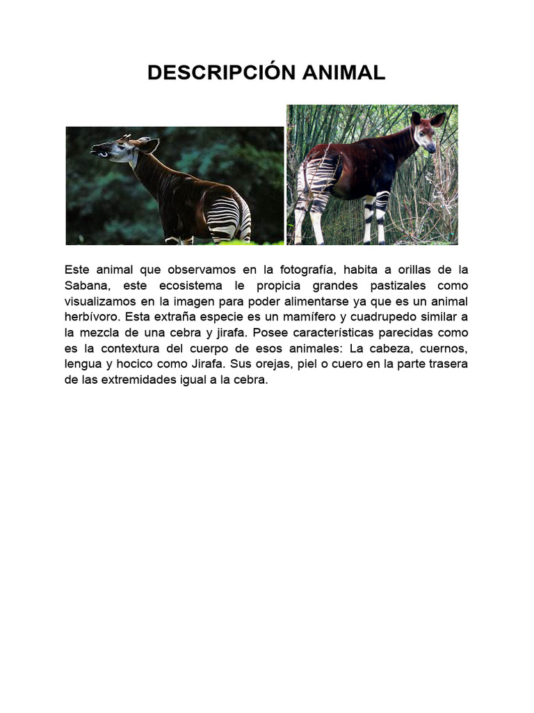 Descripción Animal | PDF