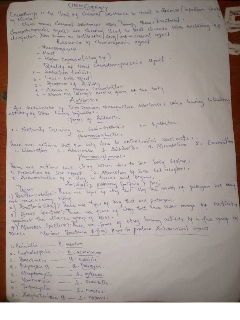 Notes Rich Text Pasteboard Data | PDF