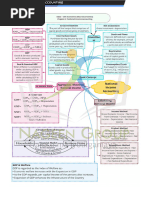 StuDocu - Free Summaries, Lecture Notes & Exam Prep | PDF | Information ...