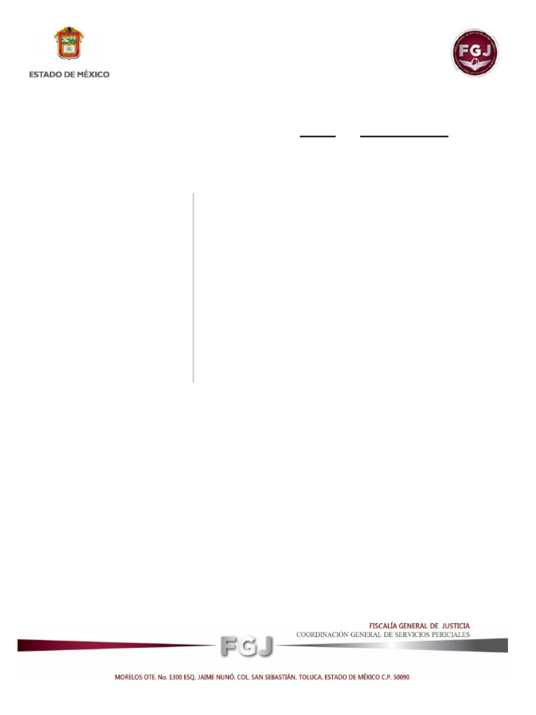 Reporte Julian Alejandro | PDF | Derecho