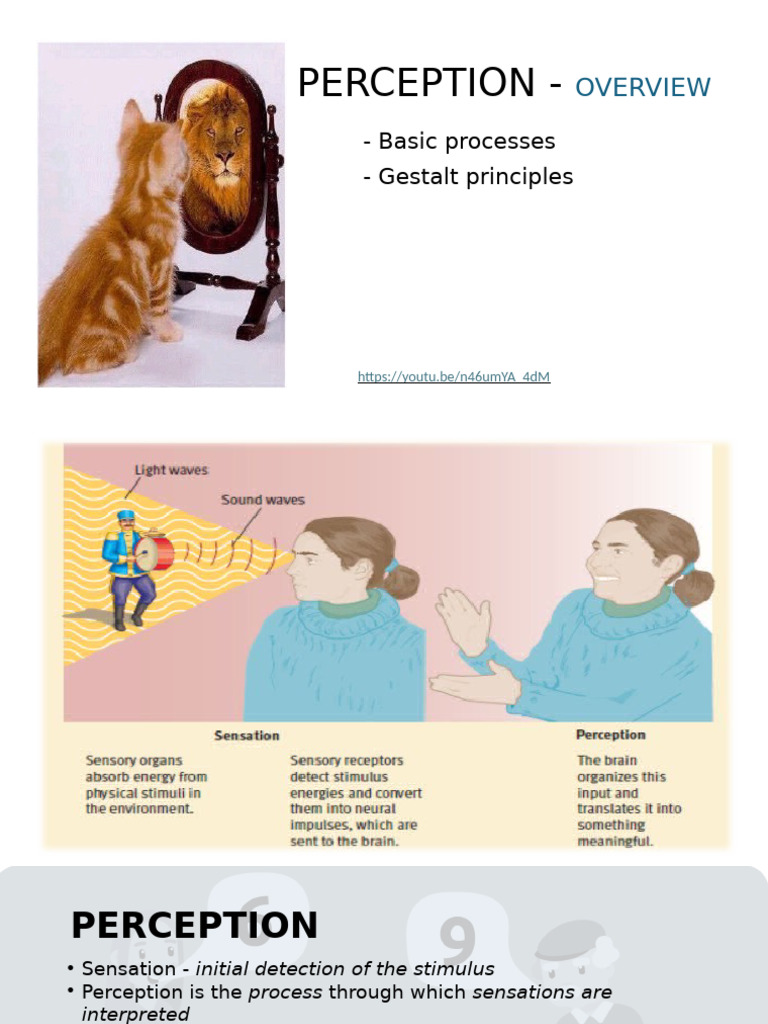 Gestalt Principles | PDF | Perception | Senses