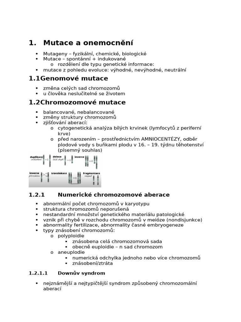 Buněčný Cyklus A Mutace | PDF