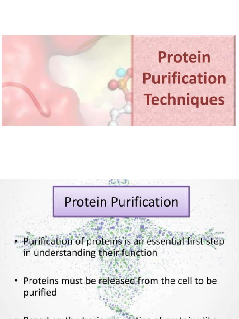 Protein Purification | PDF