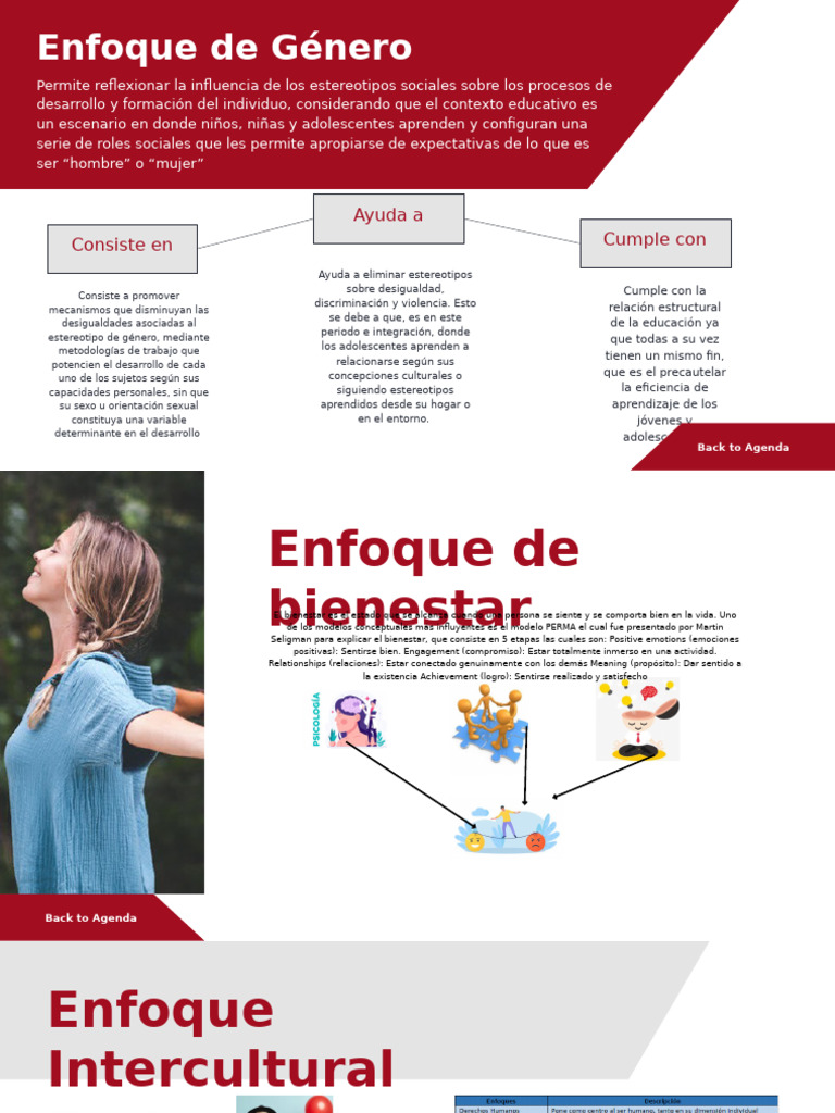 Modelo de Gestión DECE | PDF | Género | Estudios de género