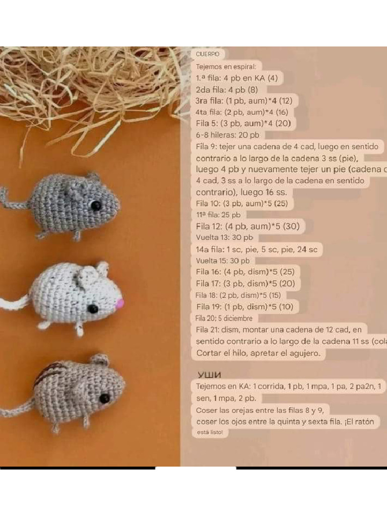 Ratón Canguro PDF | PDF