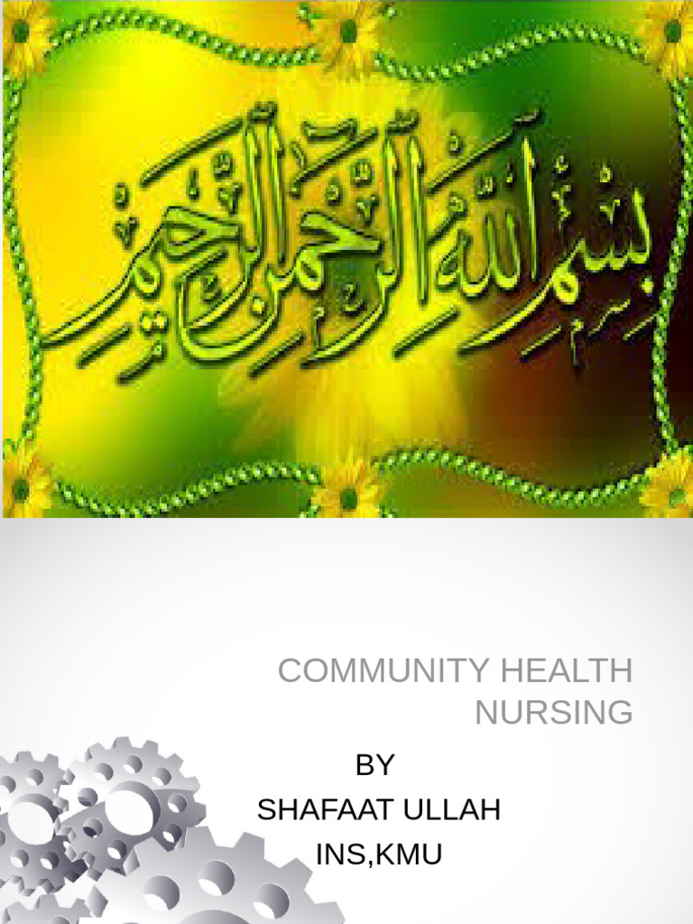 A COMMUNITY HEALTH NURSING unit 1 | PDF