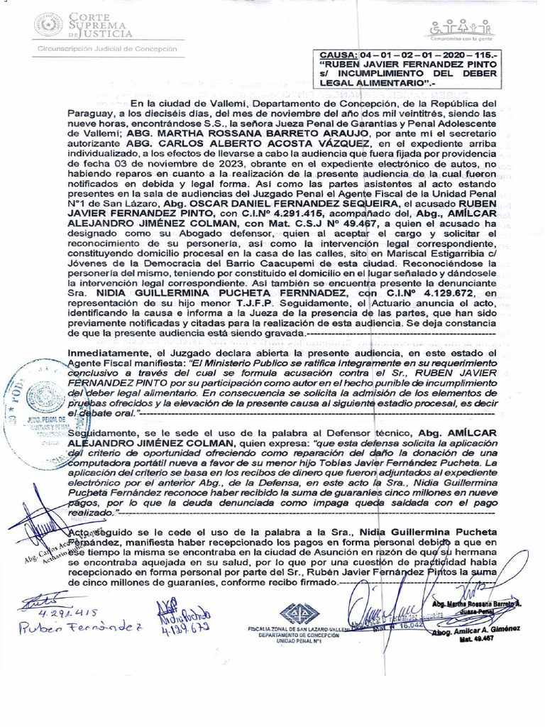 Acta de Audiencia Preliminar | PDF