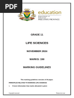 Life Sciences p1 Gr11 Memo Nov2025 - English | PDF | Digestion | Stomach