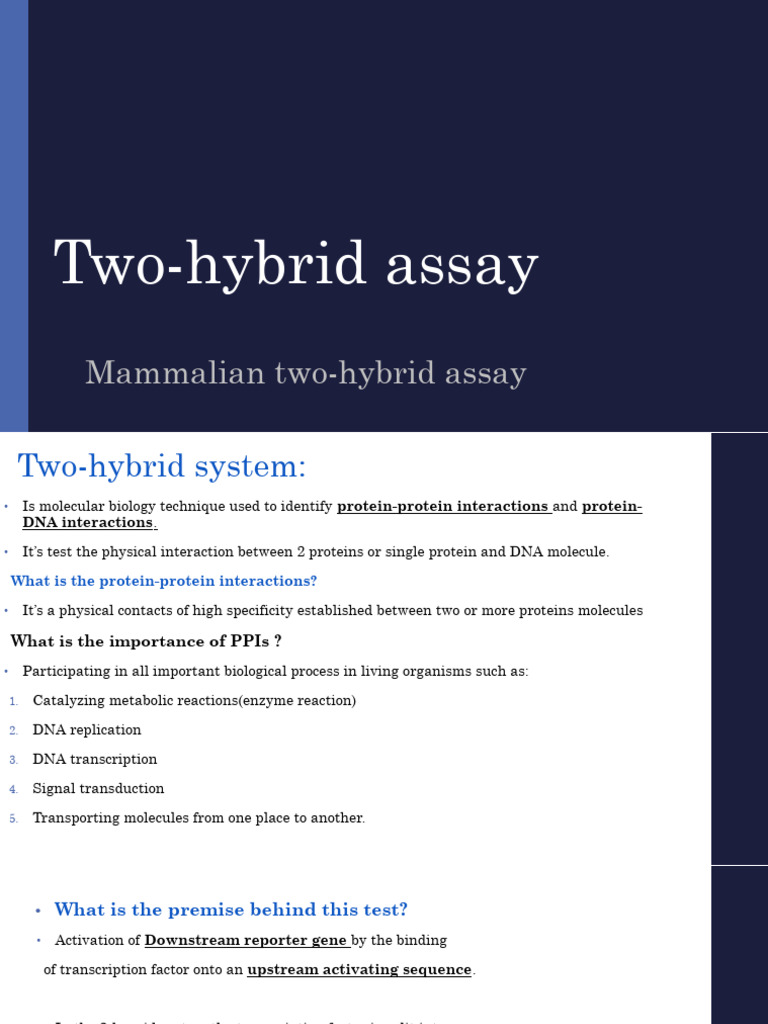 2 Hybrid System | PDF