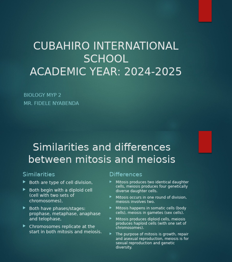 Myp 2 Bio Mitosis-Meiosis | PDF