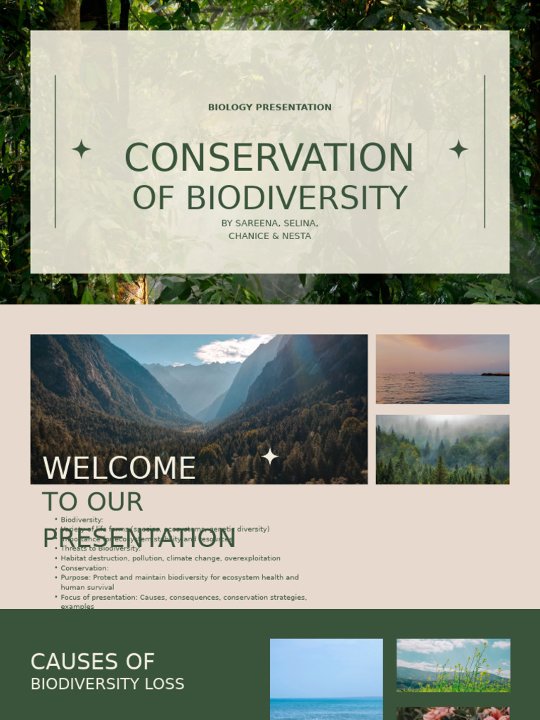 Conservation of Biodiversity Group 4 | PDF | Biodiversity | Conservation Biology