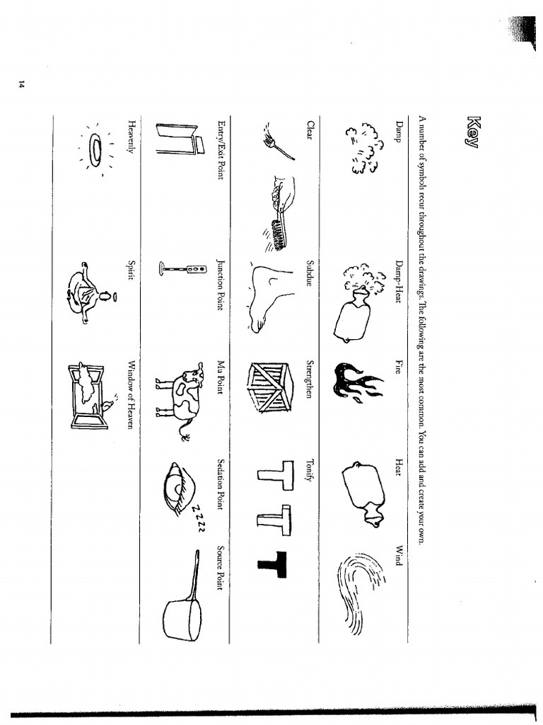 The Acupuncture Points Functions Colouring Book | PDF