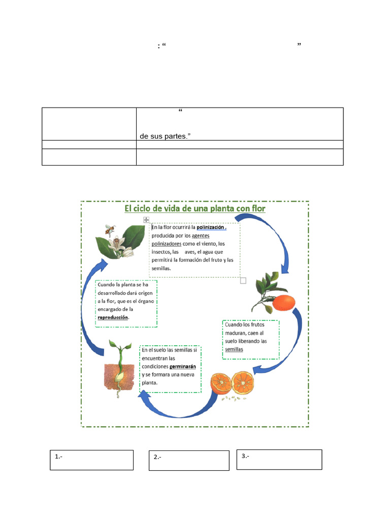Reproducción de Plantas para Niños | PDF
