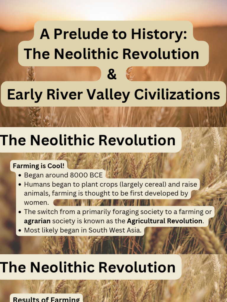 Humanities - Neolithic Revolution | PDF