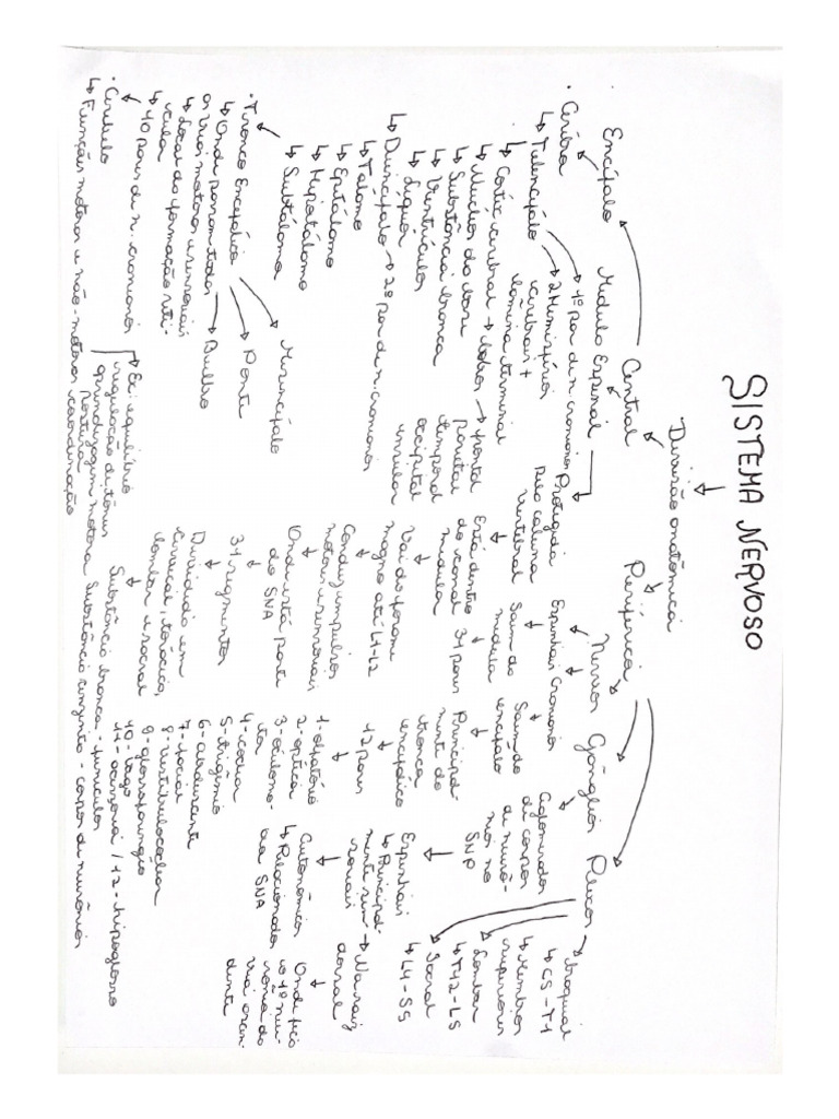 MAPAS 3 - Beatriz | PDF