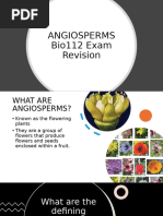 Amoeba Sisters Video Recap of Plant Reproduction in Angiosperms | PDF