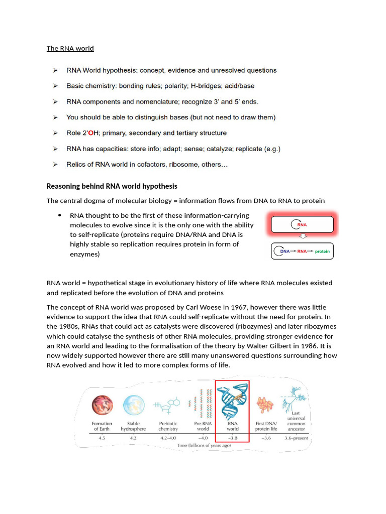M2 - The RNA World | PDF | Rna | Nucleotides