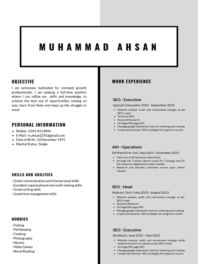 Ahsan CV | PDF | Search Engine Optimization | Business