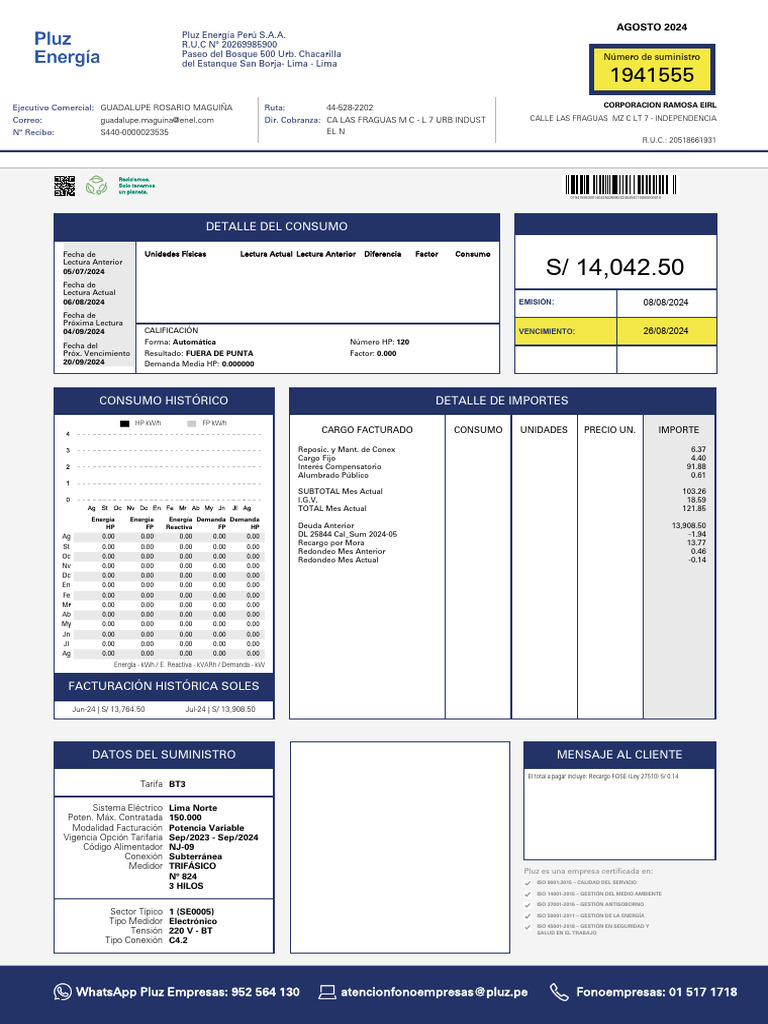 Recibo 1941555 Ago-2024 | PDF | Energia electrica | Apelación