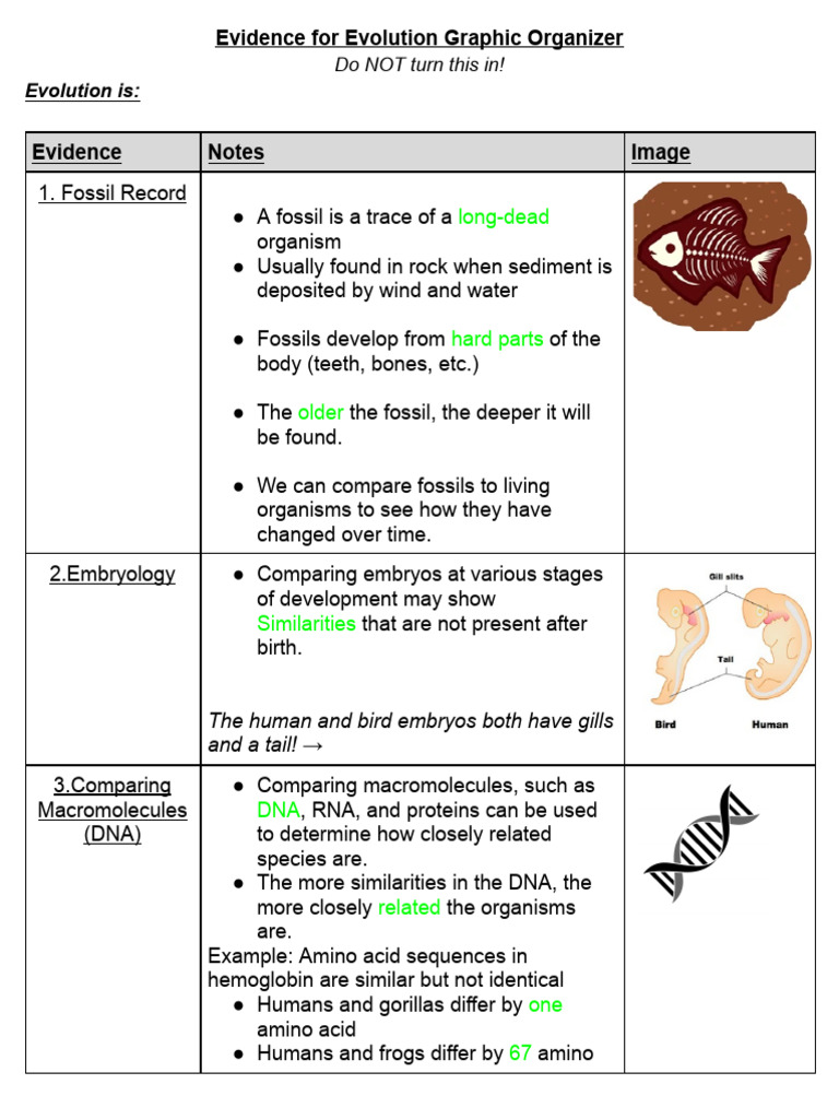 Camillie Falero Guzman - Evidence Graphic Organizer | PDF | Homology ...